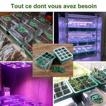 Seedling Tray with Transparent Cover Resusable Plastic Seedlings ...