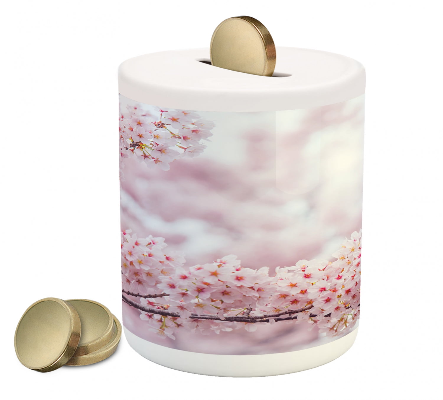 Rainbow Piggy Bank, Vertical Stripes with Diagonal Lines Chevron ...