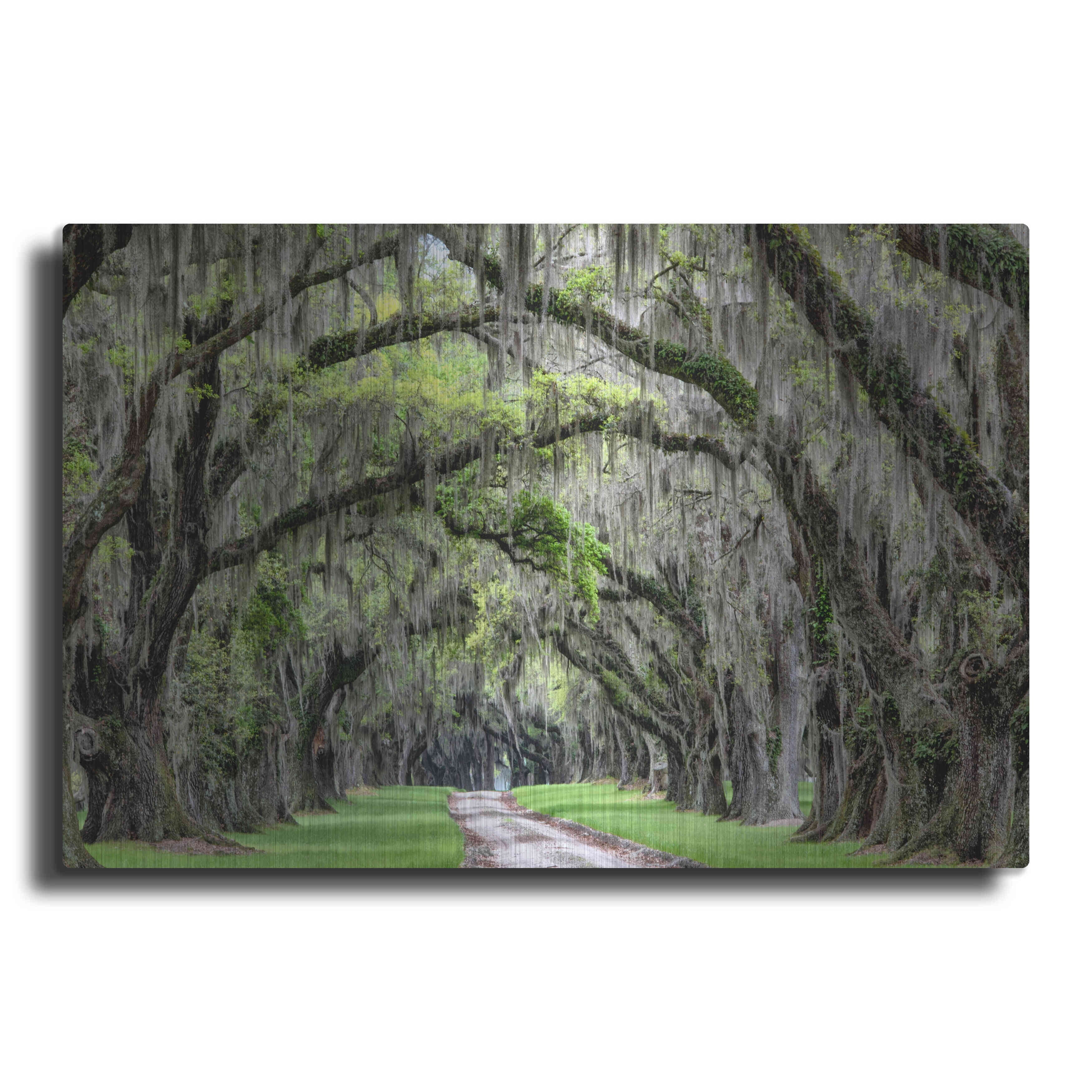 Luxe Metal Art 'The Old South' by Daniel Burt Metal Wall Art, 24"x16 ...