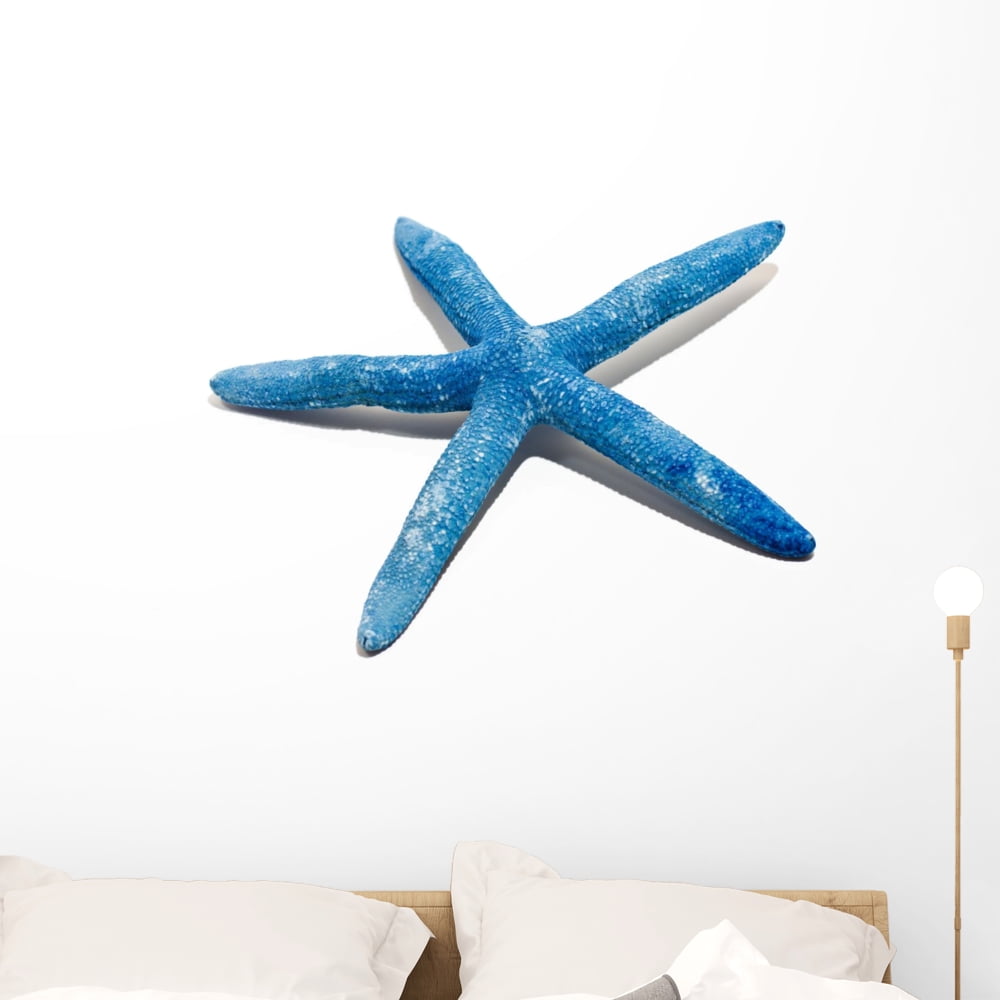Starfish Seashell Wall Decal by Wallmonkeys Peel and Stick Graphic (36 ...