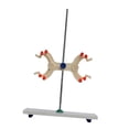 Glassware Titration Clamps Lab Stand Burette Titration Clip Lab ...