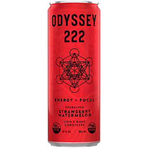 Odyssey Elixir Energy and Focus Sparkling Mushroom Drink, Orange Ginger ...
