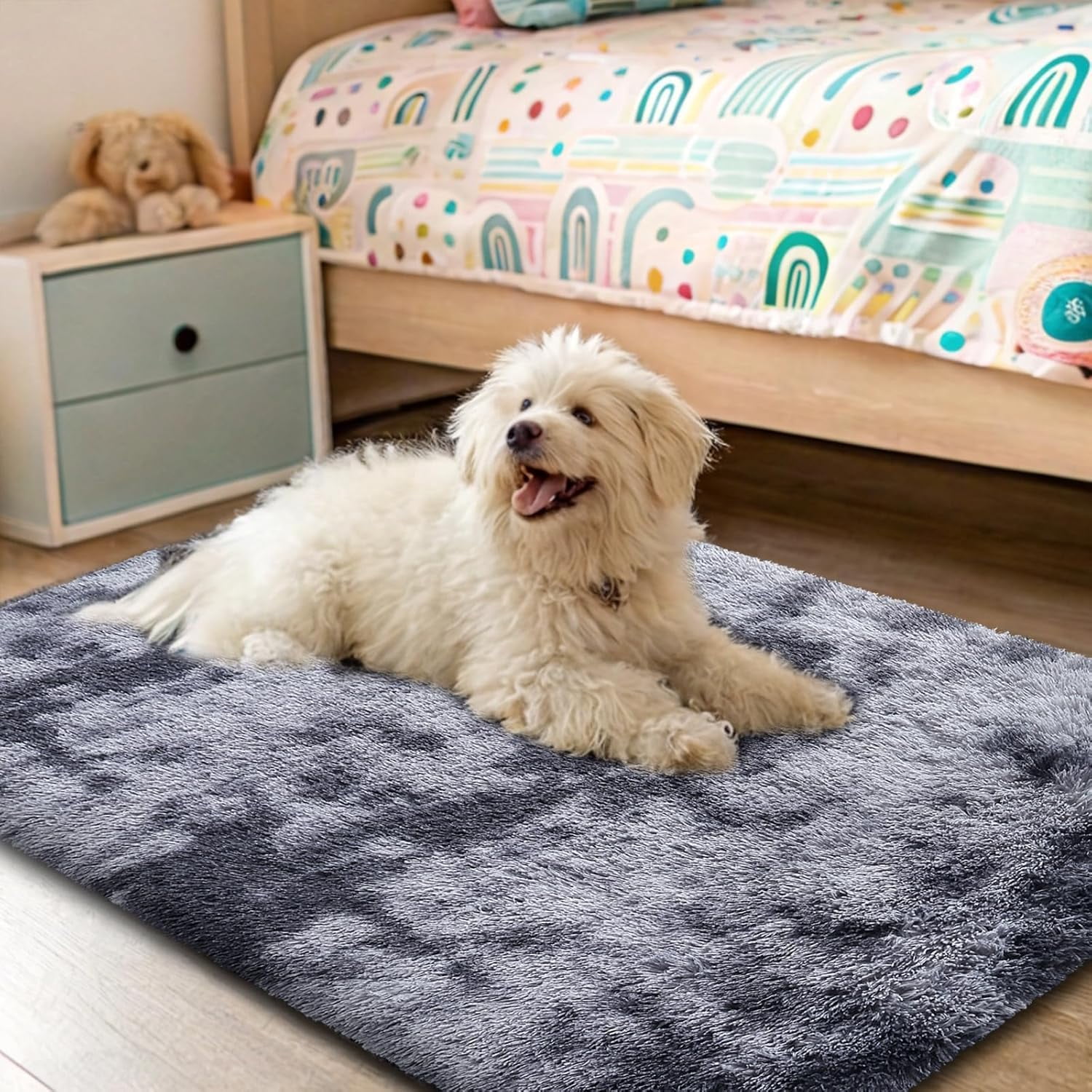 Biwat Fluffy Area Rug for Living Room Bedroom, 2x3 Feet Soft Shaggy Non ...