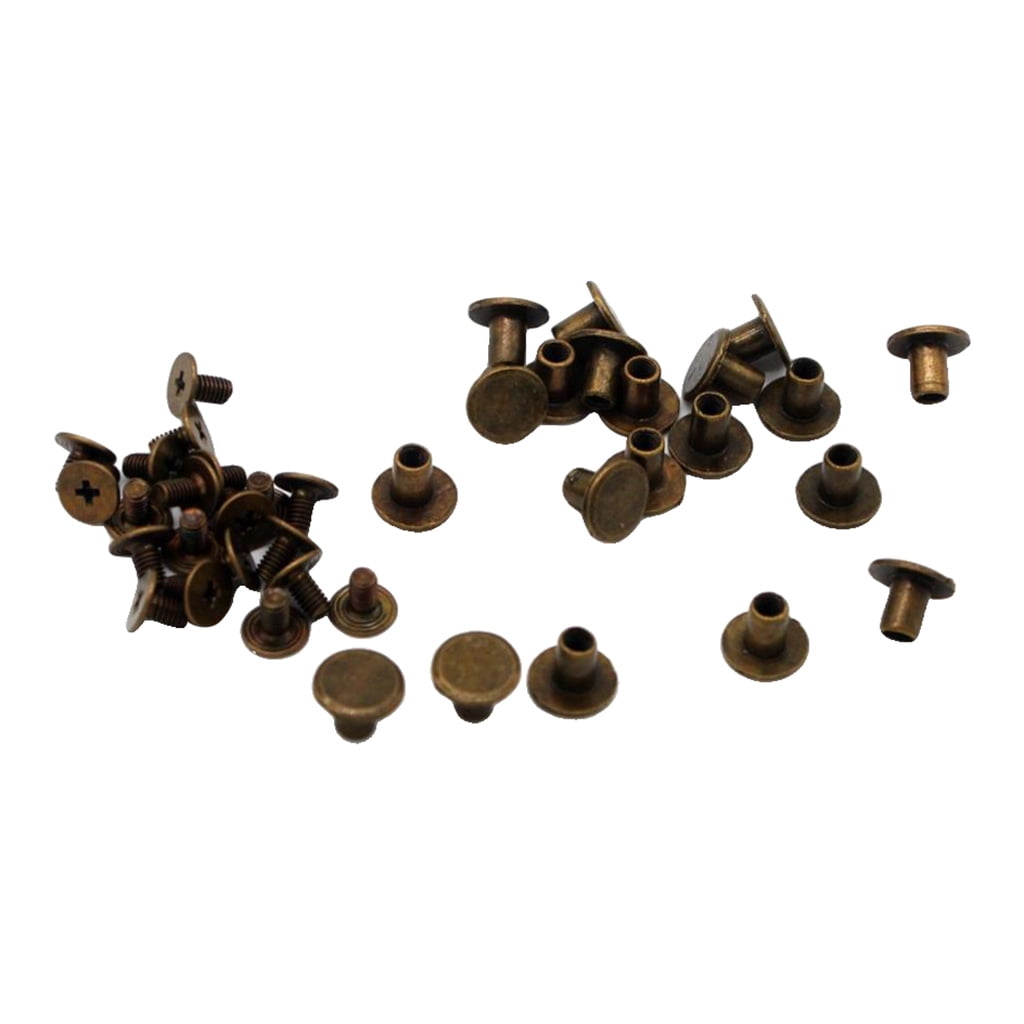 Tornillos De Fijación De 6 Mm Postes Tornillos Chicago Interscrew ...