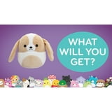 Squishmallows: Original 5" Plush Mystery Box - 5 Pack - Surprise ...