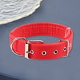Adjustable Dog Collar – For Large, Medium & Small Dogs – Heavy Duty ...