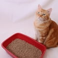 Next Gen Green Tea Fresh cat litter made from recycled wood and green ...