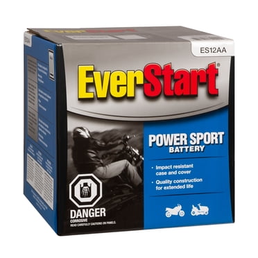 EverStart Maxx Lead Acid Automotive Battery, Group Size 124R (12 Volt ...