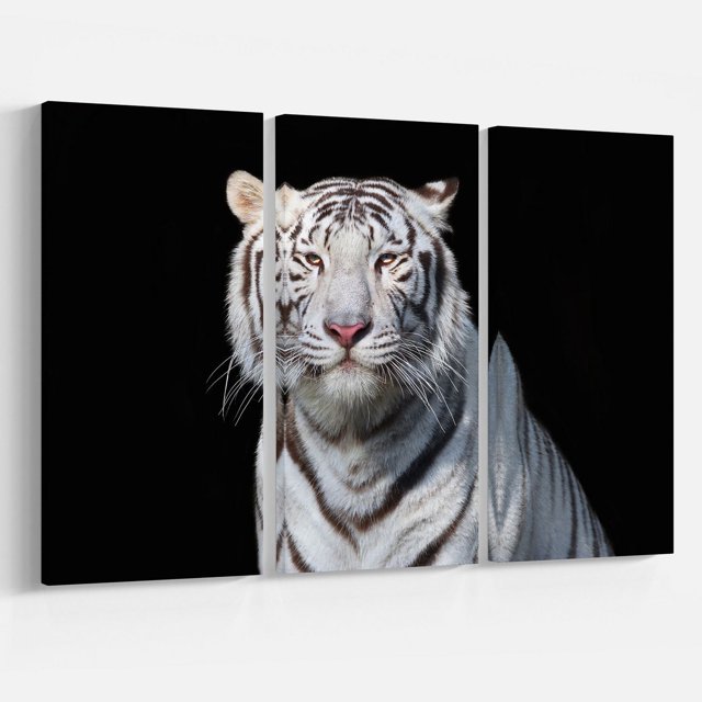 Design Art Stunning White Bengal Tiger Canvas Print - Walmart.ca