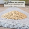 Desert Valley White Millet Proso Seed - All Natural, Non-GMO Premium ...