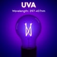 Luxrite A19 UV LED Black Light Bulb 6W Enclosed Fixture Rated E26 2-Pack - Walmart.com
