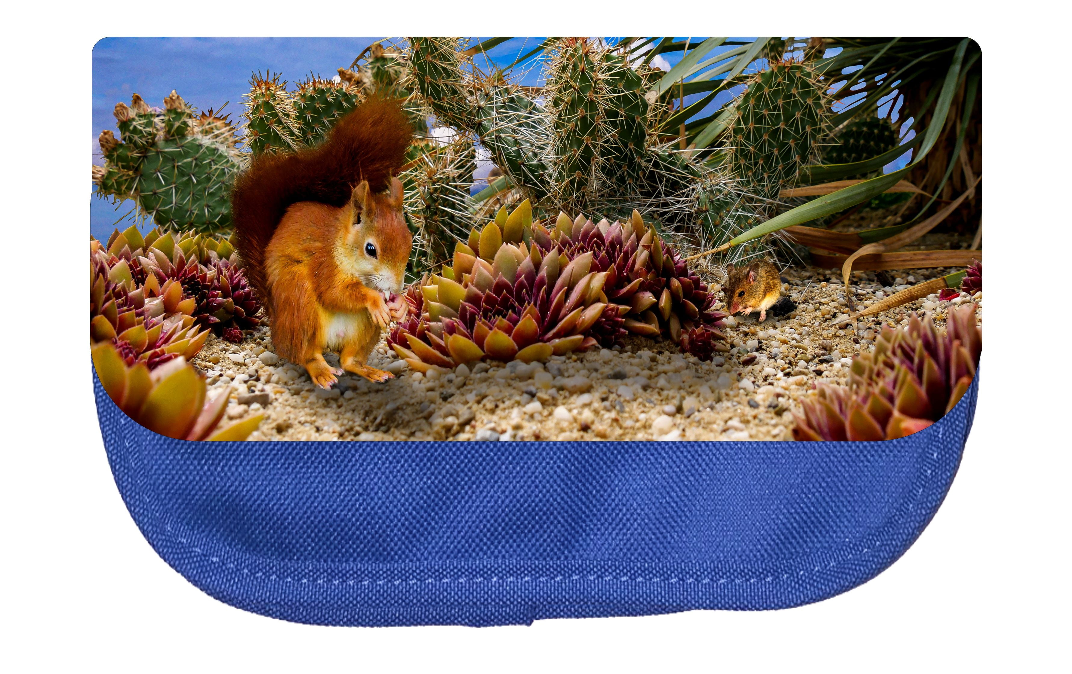 Pencil Bag Animal Squirrel Pencil Pouch 2 Pocket Pencil Case Organizer ...