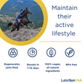 LubriSyn HA Joint Supplement for Equine & Canine Pets, 32 oz Liquid ...