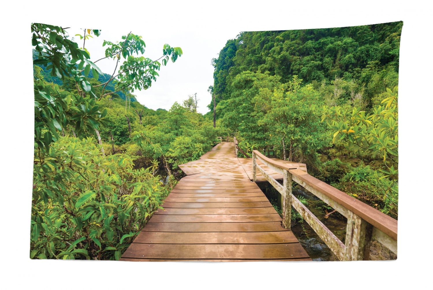 Jungle Tapestry, Deck Timber Jetty Exotic Getaway Wilderness Footpath ...
