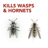 Raid Max Foaming Wasp & Hornet Killer, 13 oz - Long Distance Insect ...