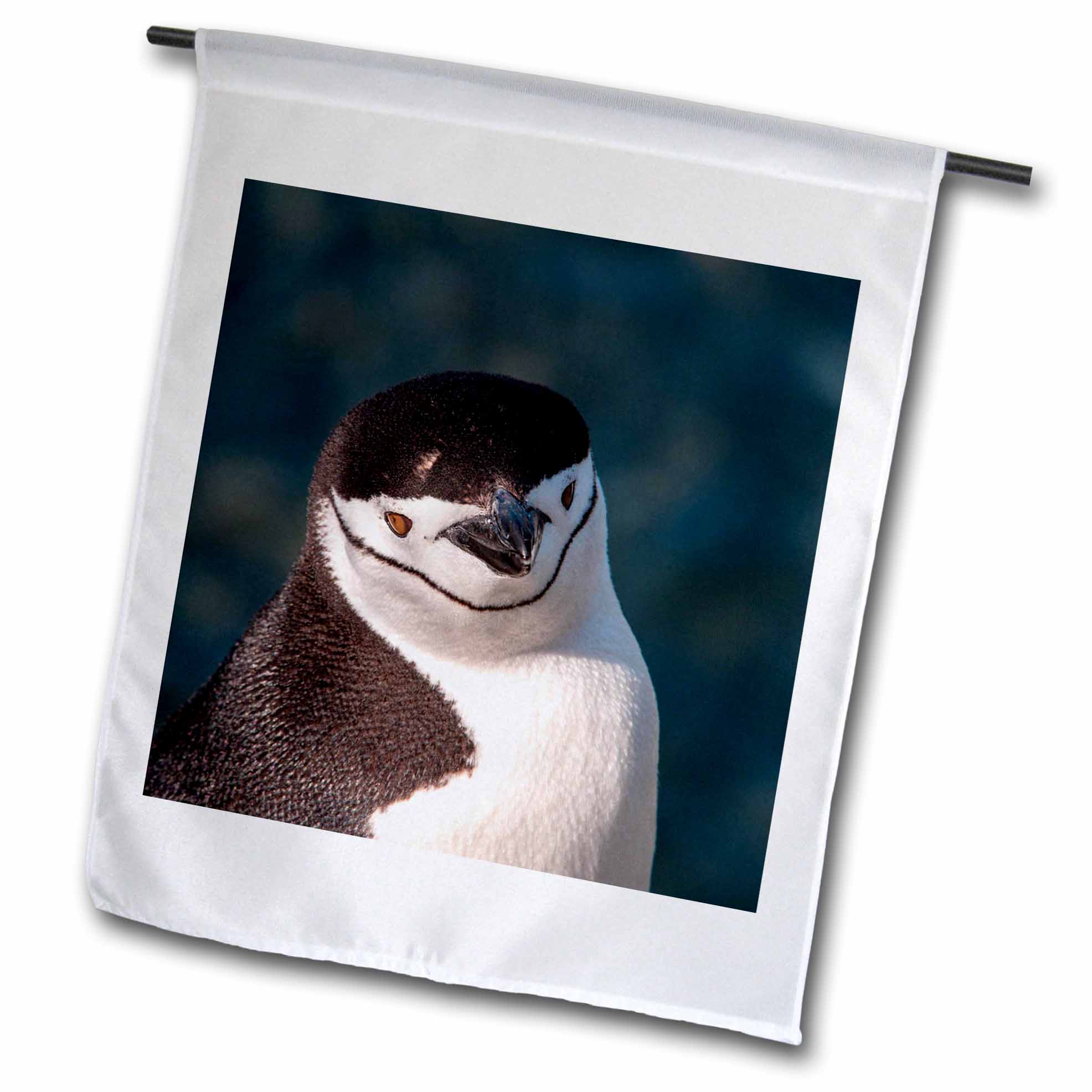 3dRose Antarctica, penguin, headshot - Garden Flag, 12 by 18-inch ...