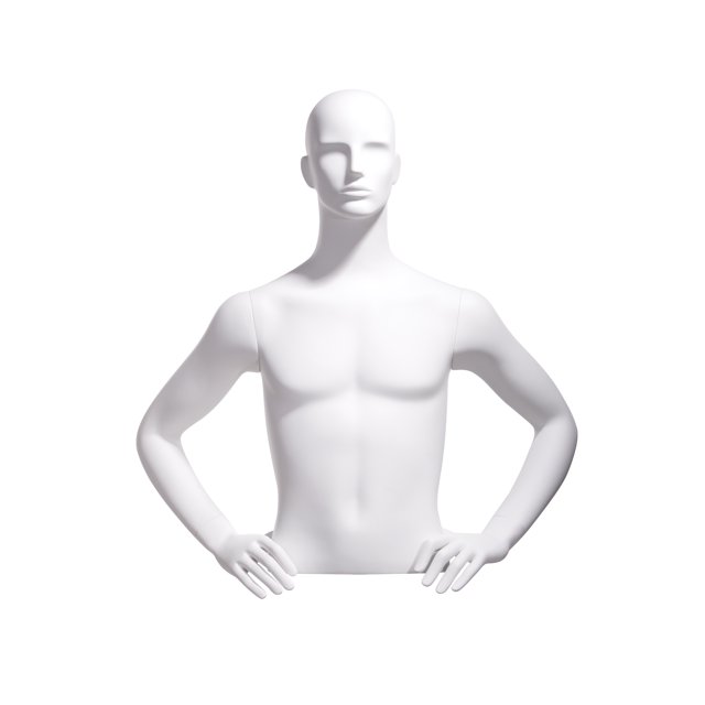 Mondo Mannequins' "Ready to Wear" Abstract Head Male Bust Form in Matte ...
