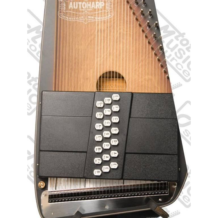 Electric Autoharp
