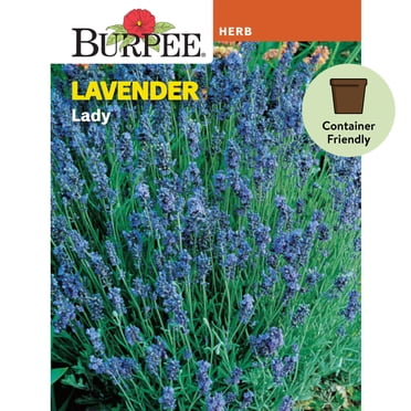 Burpee Watermelon Heaven California Poppy Flower Seed, 1-Pack - Walmart.com
