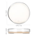 10pcs Nutrient Agar Plate Agar Plates Petri Dishes with Agar Prepoured ...