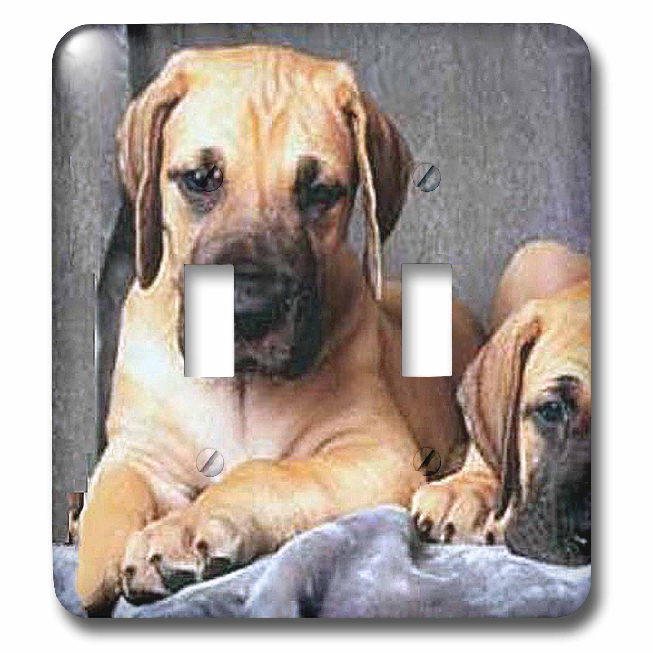 Great Dane double toggle switch lsp-249-2 - Walmart.com