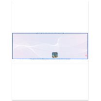 Free Shipping! EZ Checks High Security Laser Business Checks for ...