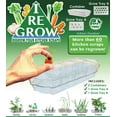I Re Grow - Walmart.com