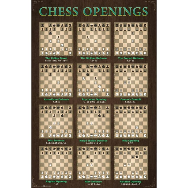 Chess Openings Game Room Decor Chart Moves Defense Cool Huge Large ...