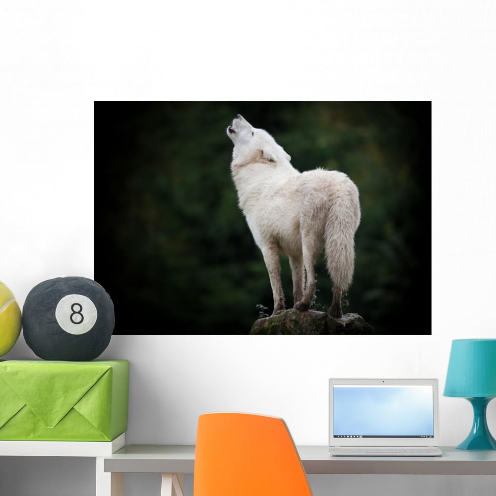 Loup Cri Hurler Wall Mural by Wallmonkeys Peel and Stick Graphic (36 in ...