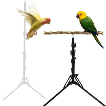Deluxe Digital Small Animal And Aviary Scale With Perch - Walmart.com