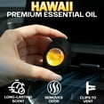 Air Jungles Car Air Freshener Vent Clip 3 Count, Hawaii Scent, 4 ml ...