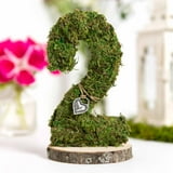 ProFlora 16" x 18" Green Moss Sticky Back Mat, 1 Each Decoration 16in ...