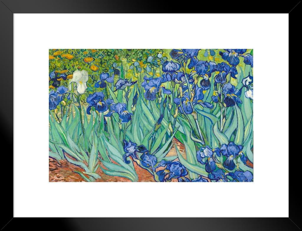 Vincent Van Gogh Irises Flower Poster 1890 Dutch Post Impressionist ...