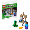 LEGO Minecraft Steve and Creeper 30393 - Walmart.com
