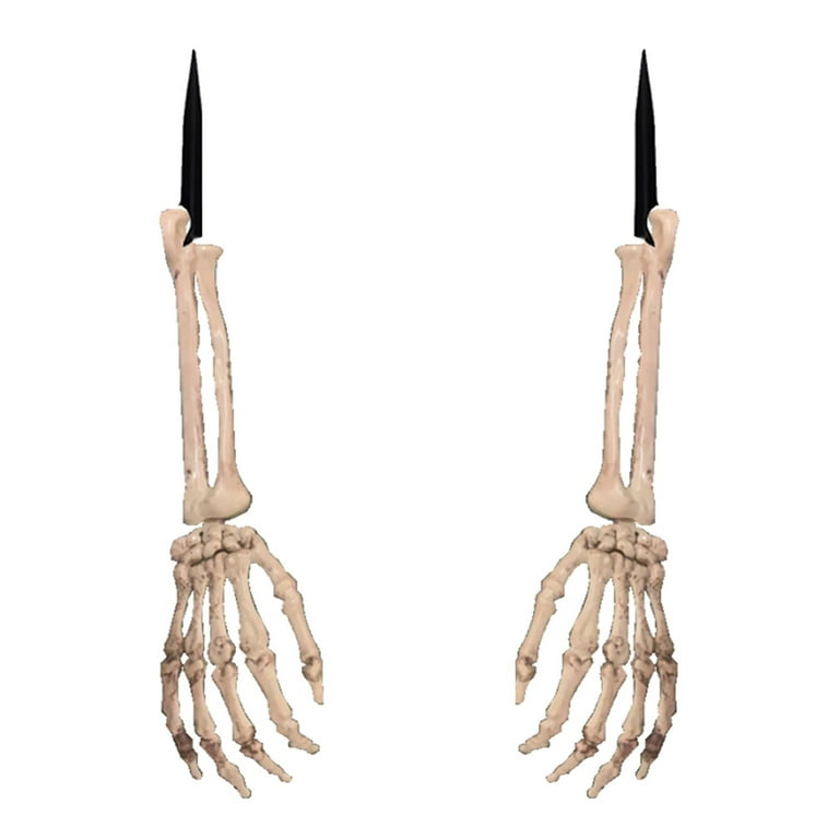 Real Skeleton Hand And Arm