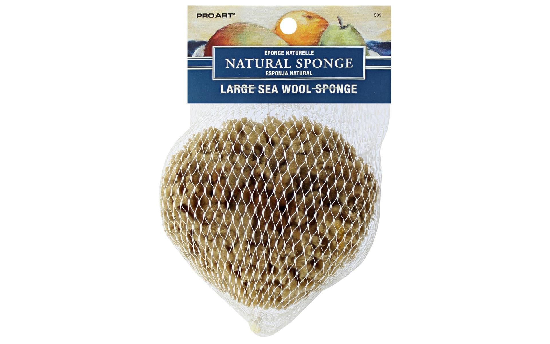 Pro Art Sponge Natural Sea Wool 3-4" Large - Walmart.com