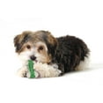 Petstages Crunchcore Bone Dog Chew Toy, Green, XS - Walmart.com