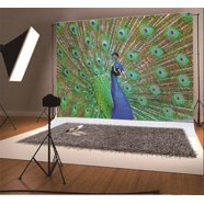 GCKG 7x5ft Peacock Photography Backdrop,Peacock Polyester Photography ...