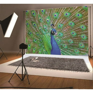 GCKG 7x5ft Peacock Photography Backdrop,Peacock Polyester Photography ...
