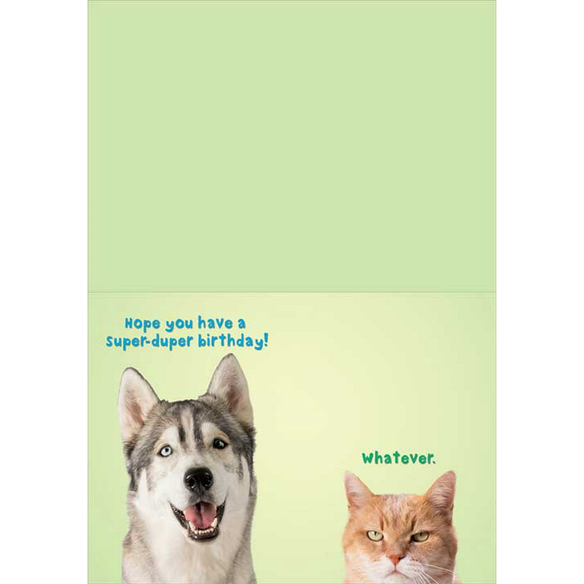Grumpy Cat Birthday Card