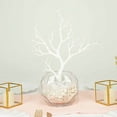 BalsaCircle White 10 Artificial 14" Plastic Manzanita Tree Branches ...
