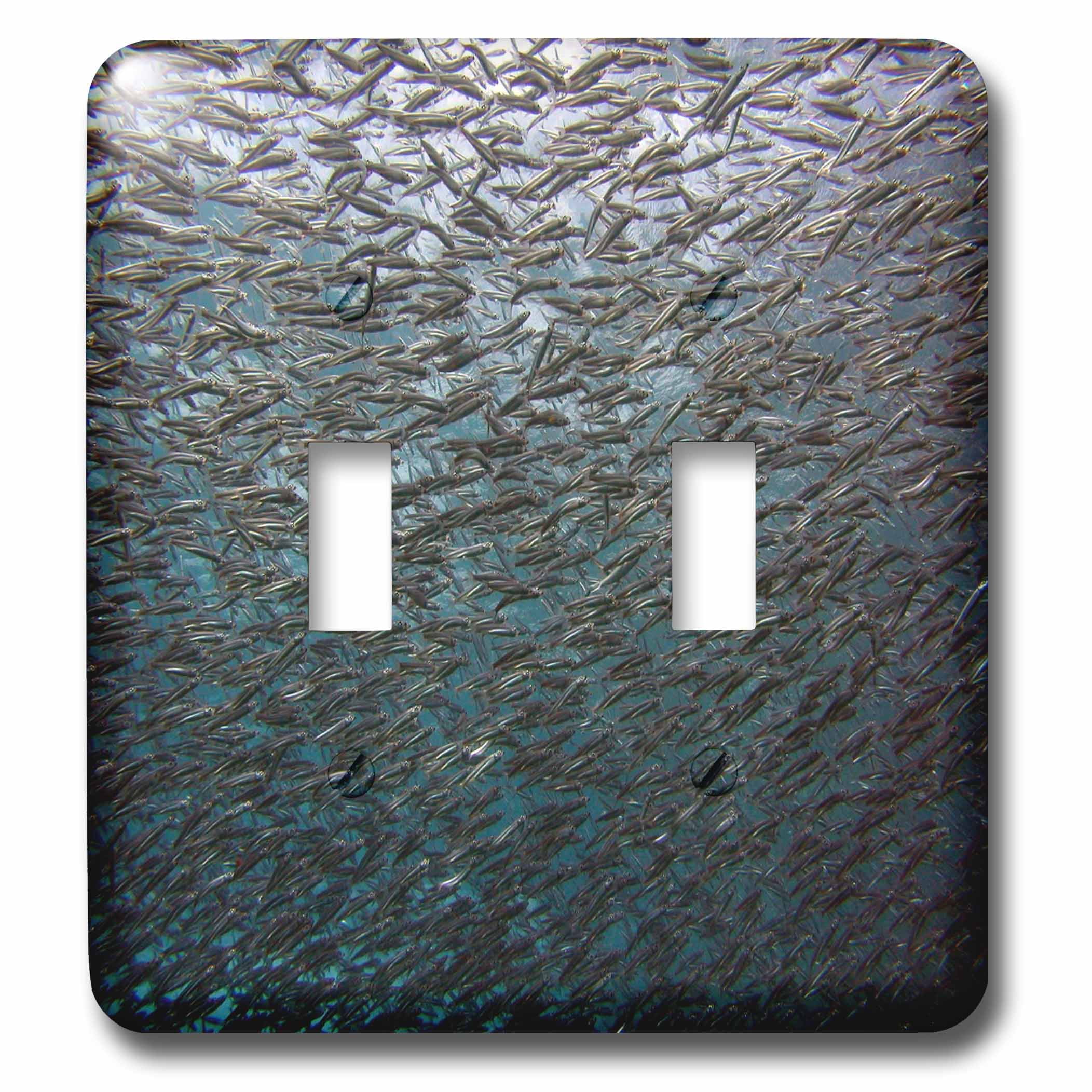 Silver Sided Fish School double toggle switch lsp-200883-2 - Walmart.com