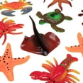 Ocean Life Set - 34pc Sea Creature Play Figures and Accessories in ...