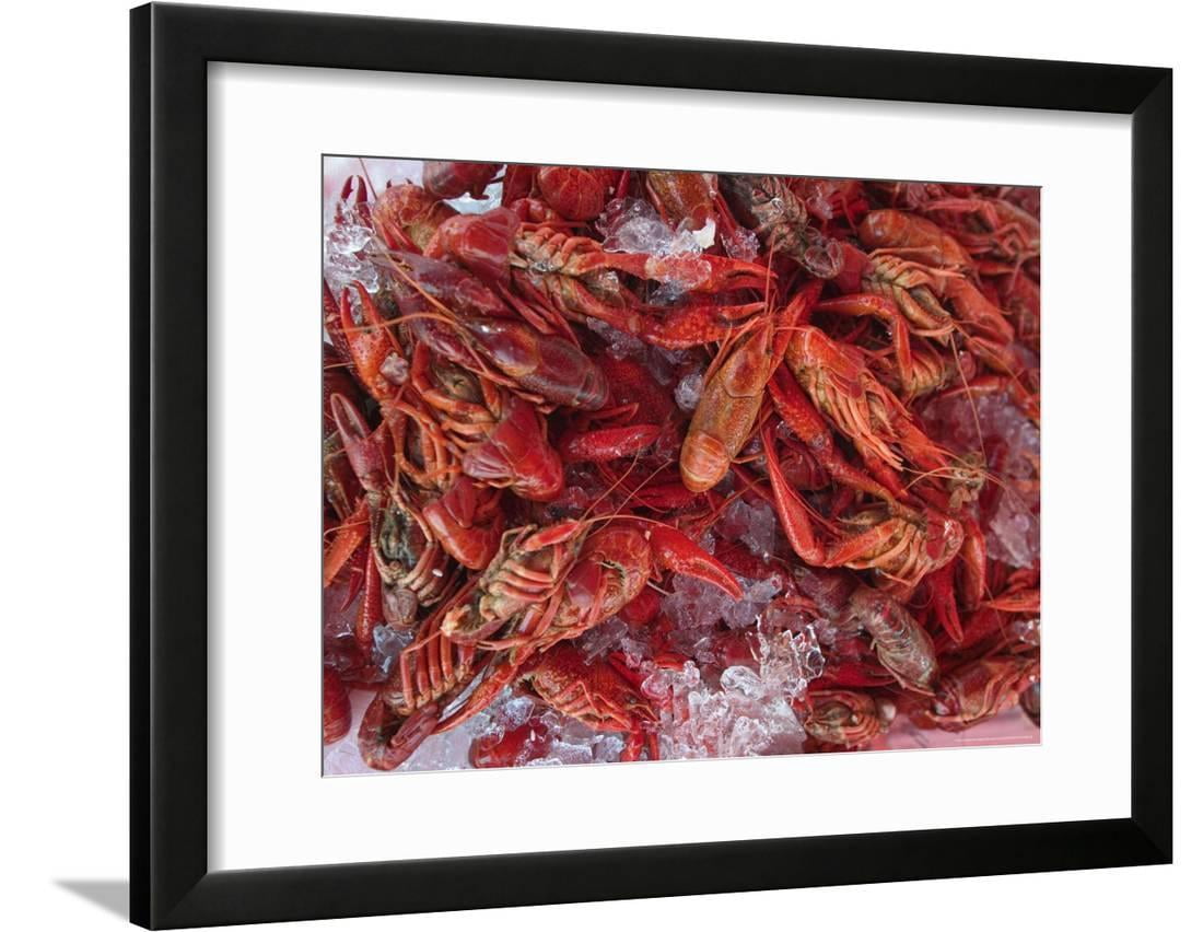 Crayfish in Bergens Fish Market, Norway Framed Print Wall Art by ...