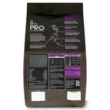 Pure Balance Pro+ Small Breed Chicken & Pea Recipe Dry Dog Food, 8 lbs ...