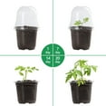 Piwvid 10 Sets Plant Nursery Pots with Clear Humidity Domes, 4 Inch ...