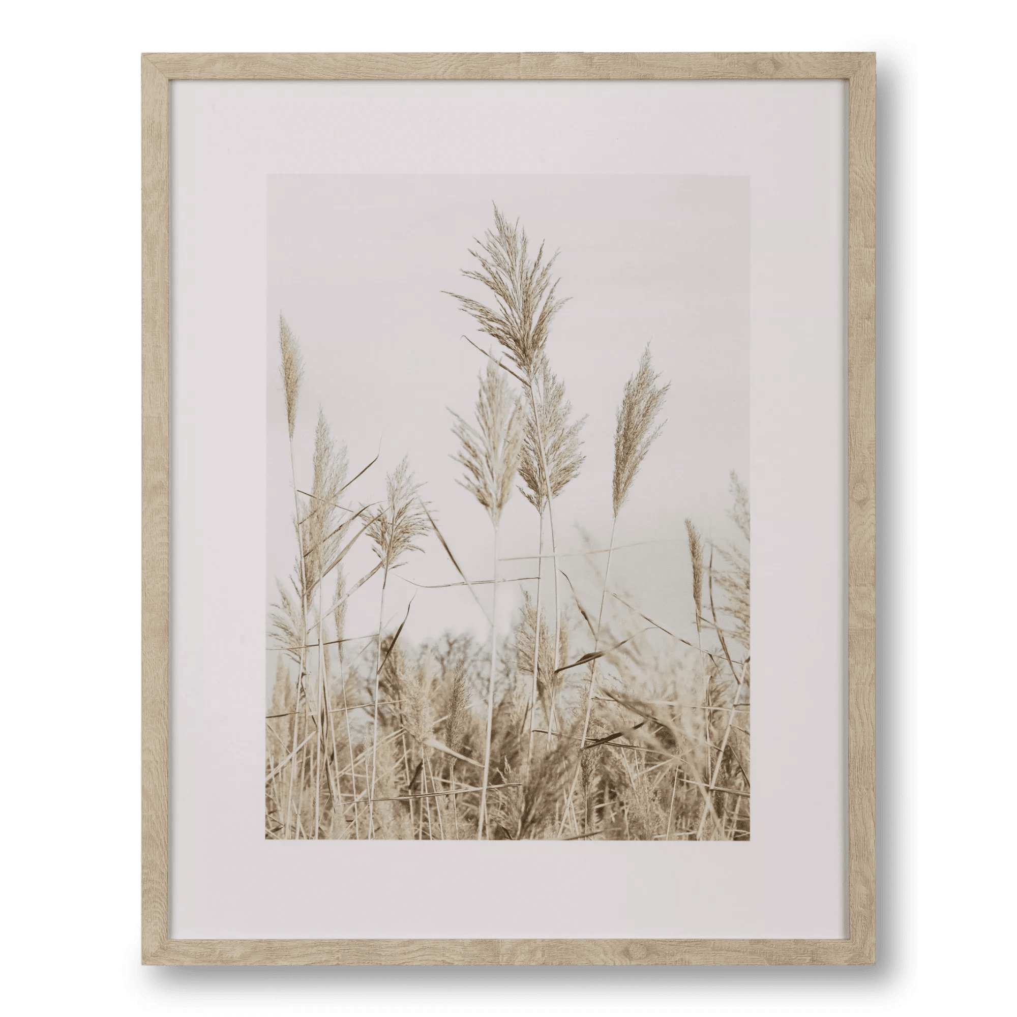 Click here for Bouclair Beige Pampas On Beach Framed Canvas 16 X... prices