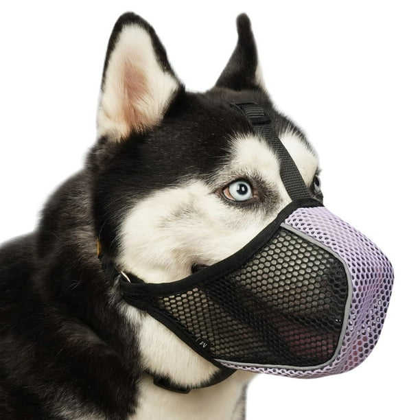 Breathable Reflective Dog Muzzle & Collar Set for Scavenging, Grooming ...