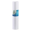 Everpure EV953426 20-Inch Sediment Filters 4 pack by CFS - Walmart.com