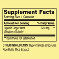 Spring Valley Ginger Root Dietary Supplement Capsules for Digestive ...
